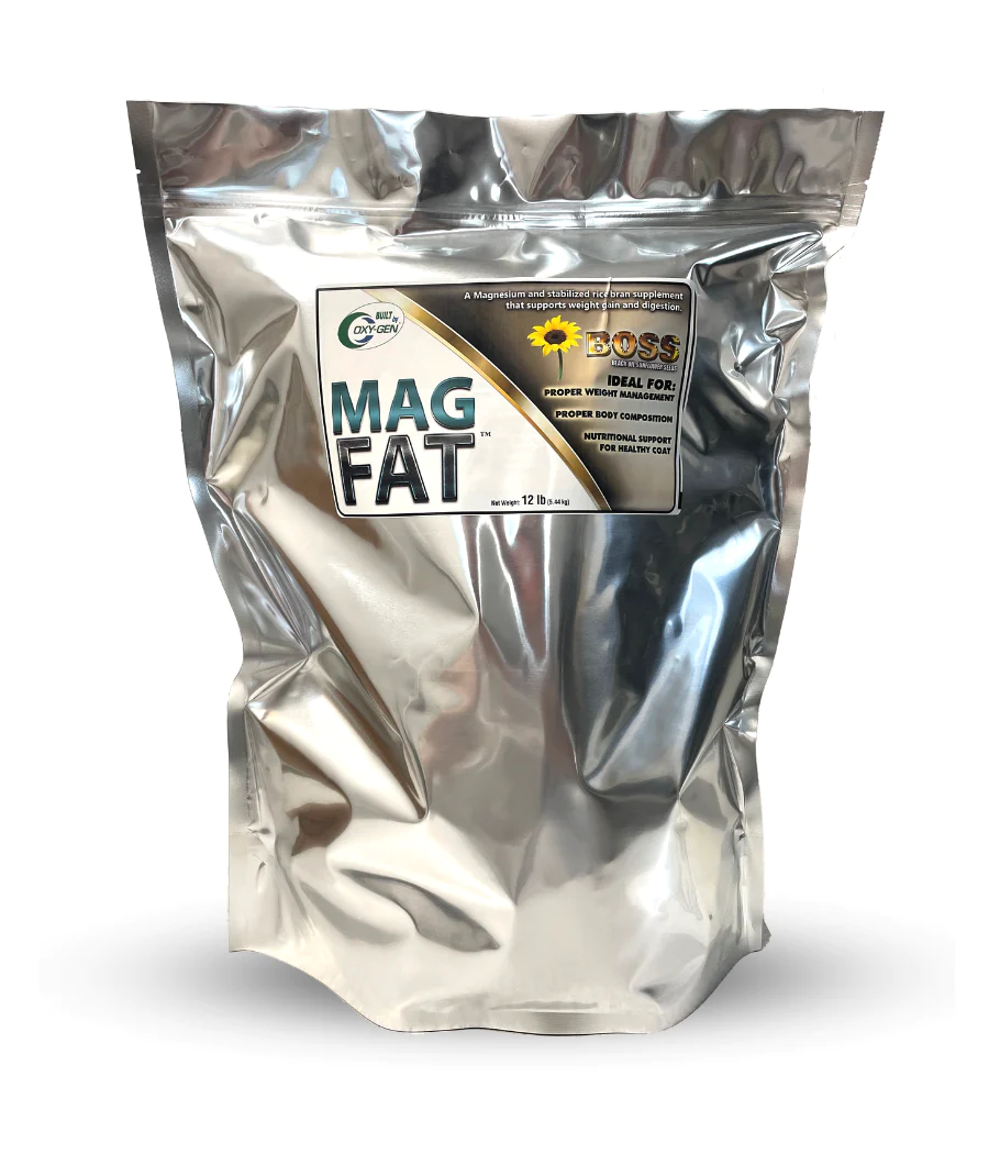 Mag-Fat with BOSS – Katie's Coast to Coast